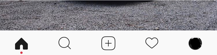 How to Use Instagram Multiple Posts (And Why You Should) - Veloce