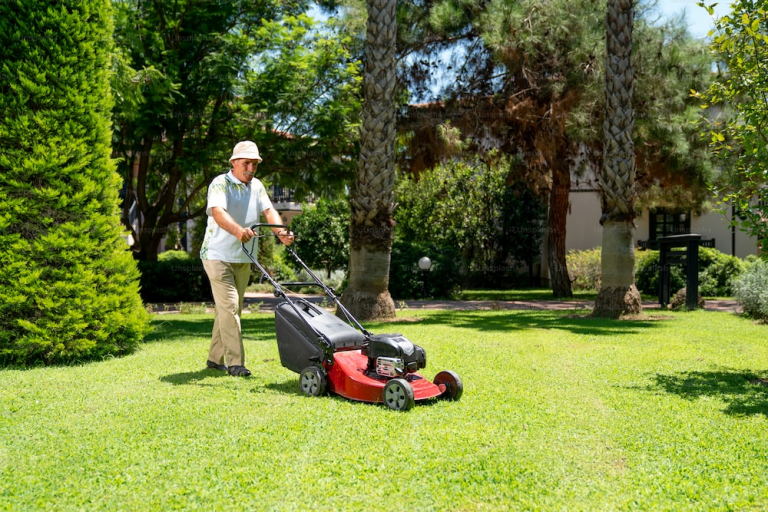 Lawn Mower Menace: Tips for Preventing Injuries and Navigating ...